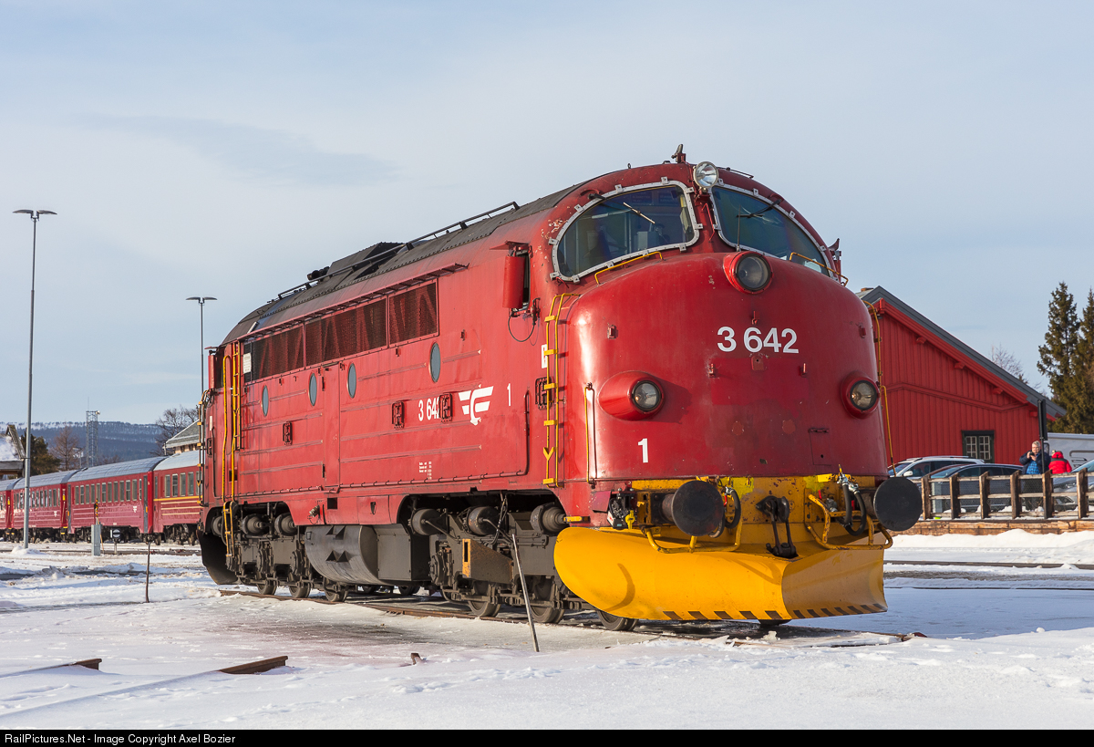 3984.1551776085.jpg